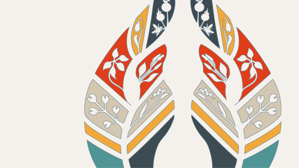 National Consortium for Indigenous Medical Education